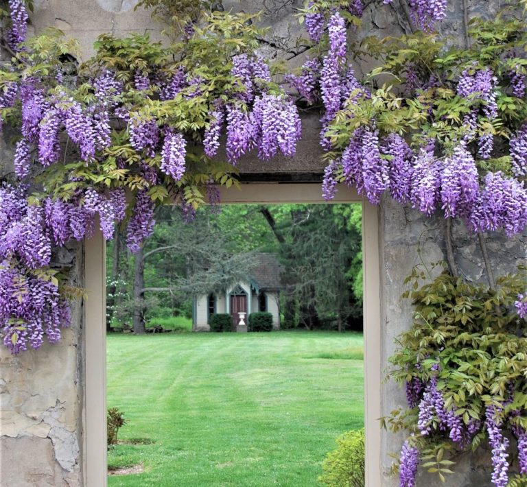 Andalusia Historic House, Garden, & Arboretum