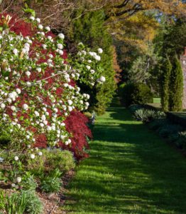 Garden | Andalusia