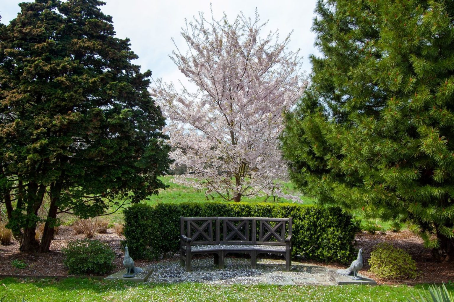 Arboretum | Andalusia