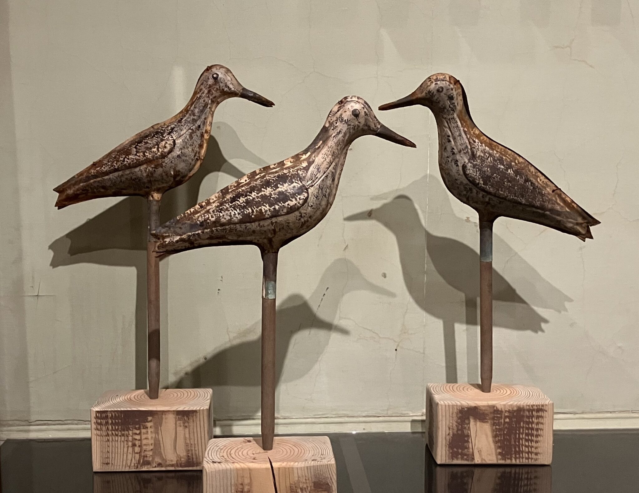 Charles J. Biddle: Pilot, Sportsman, Lawyer | Andalusia